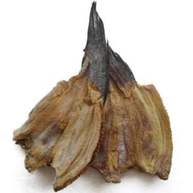 Jual Ikan Gabus Asin | naga_exspress | Shopee Indonesia