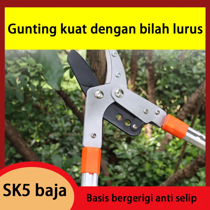 Jual Gunting Pohon Dahan Ranting Taman Telescopic Gagang Panjang Tinggi Gunting Taman Gunting ...