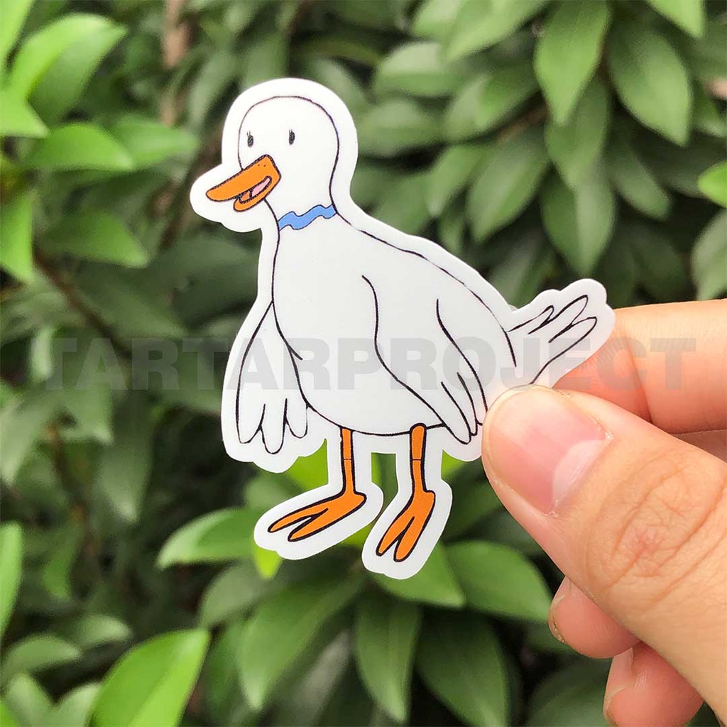 Jual Sticker Stiker Vynil - Boobafina Adventure Time | Shopee Indonesia