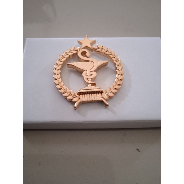 Jual brevet wing pin apoteker tni ad | Shopee Indonesia