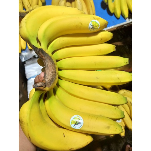 Jual Pisang Cavendish 13kg / Box | Shopee Indonesia