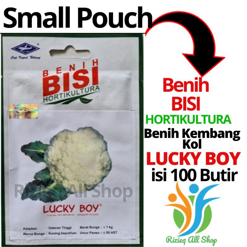 Jual Benih Kembang Kol Cauliflower LUCKY BOY isi 100 Butir Produk BISI ...