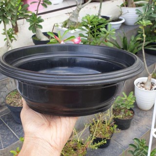 Jual SHOPEE MALL Pot bunga BONSAI 25 PUTIH HITAM Pot ceper Pot Bonsai ...