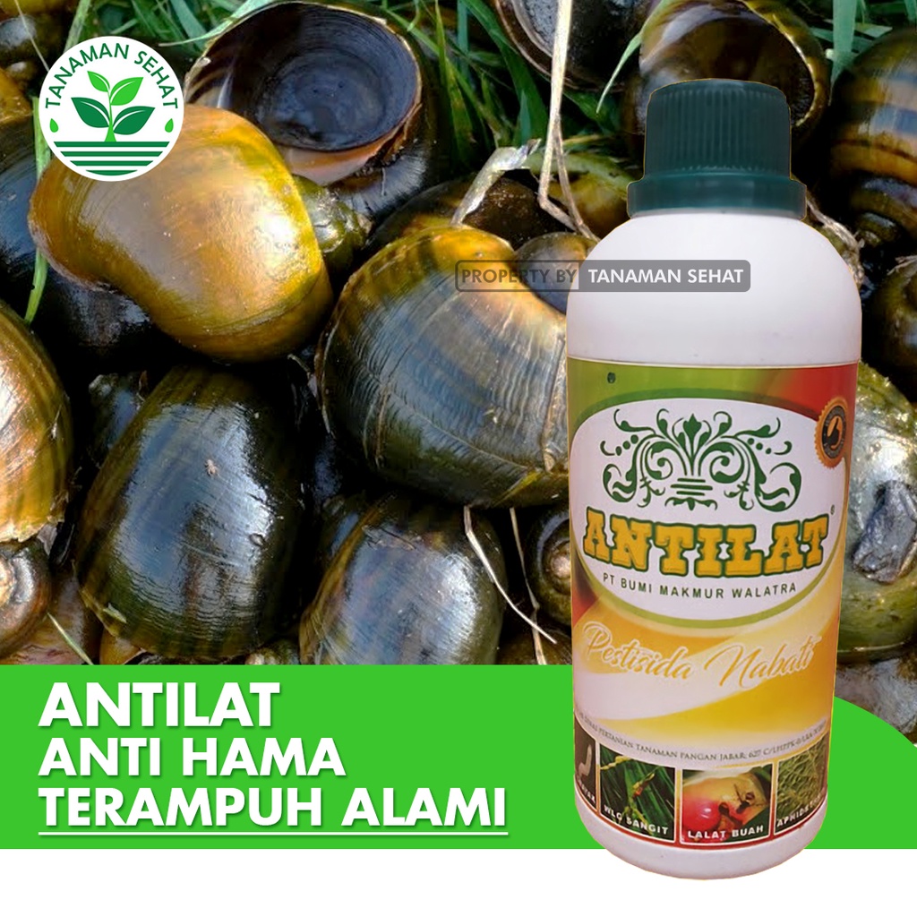 Jual Pupuk Pestisida Organik Cair Obat Anti Hama Keong Mas Untuk Segala ...