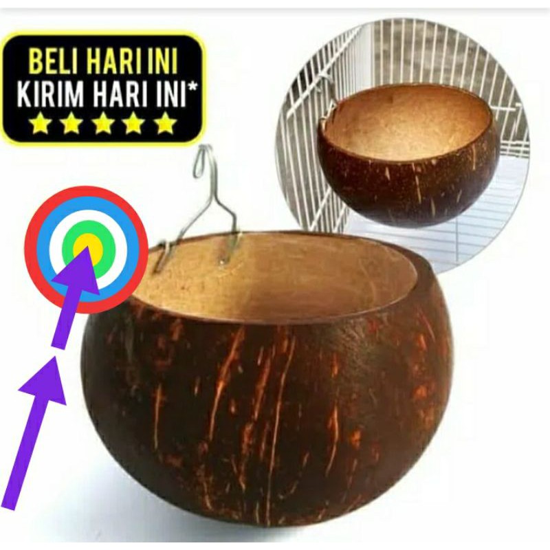 Jual Tempat makan Burung batok kelapa | Shopee Indonesia