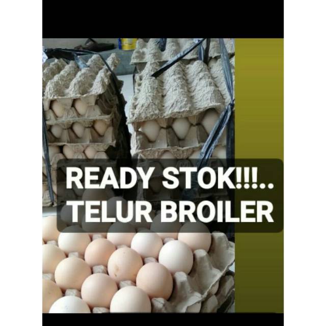 Jual Telur 1 kg ayam broiler egg chicken | Shopee Indonesia
