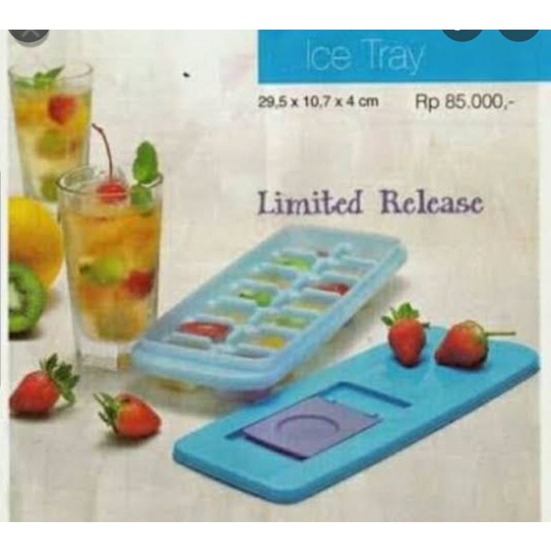 Jual Ice Tray Tupperware | Shopee Indonesia