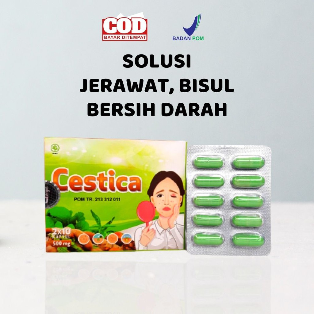 Jual CESTICA Obat Herbal Bersih Darah, Obat Bisul, Koreng, Gatal, Obat ...