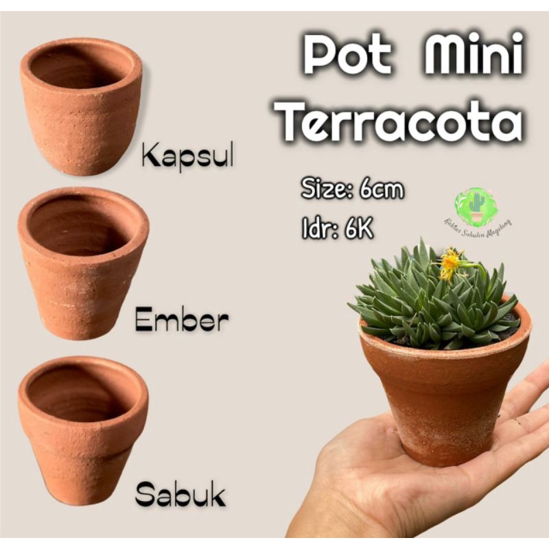 Jual Pot Mini Terracota 6cm | Shopee Indonesia