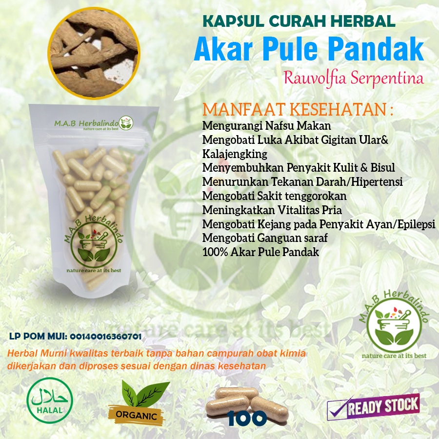 Jual AKAR PULE PANDAK 100 kapsul Vertigo Gangguan Syaraf Hipertensi ...