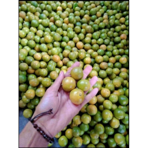 Jual Jeruk songkit 1kg | Shopee Indonesia