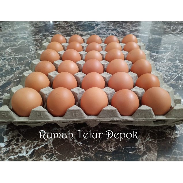 Jual Telur Omega Curah Segar Isi 30 Butir | Shopee Indonesia