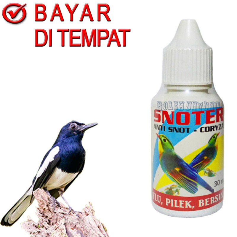 Jual SNOTER ANTIBIOTIK BURUNG KICAU OBAT FLU PILEK DIARE KOTORAN KAPUR ...