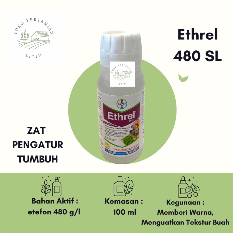Jual Ethrel 480 SL - 100 ml (ZPT) Memberi Warna, Menguatkan Tekstur ...