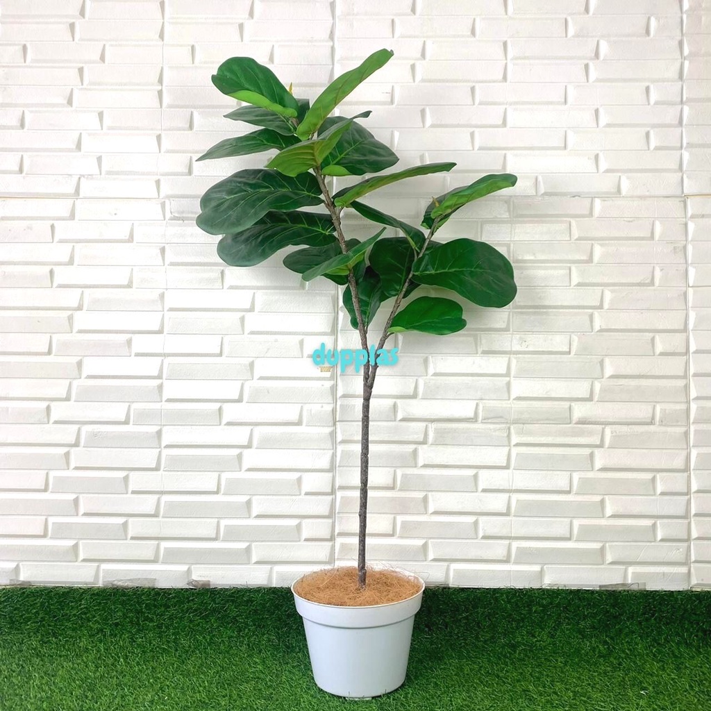 Jual Pohon Hias Daun Ketapang X2 T120 Latex Artificial Pot Dasar Putih ...