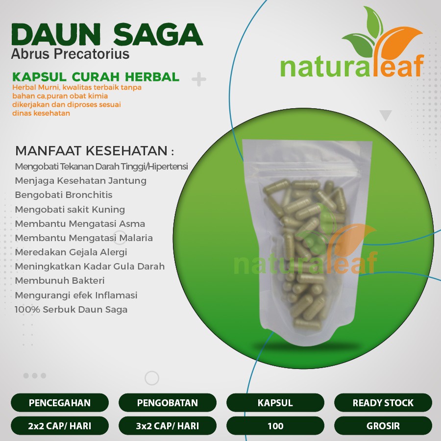 Jual DAUN SAGA 100 Kapsul Herbal Asma Sakit Kuning Alergi Hipertensi ...