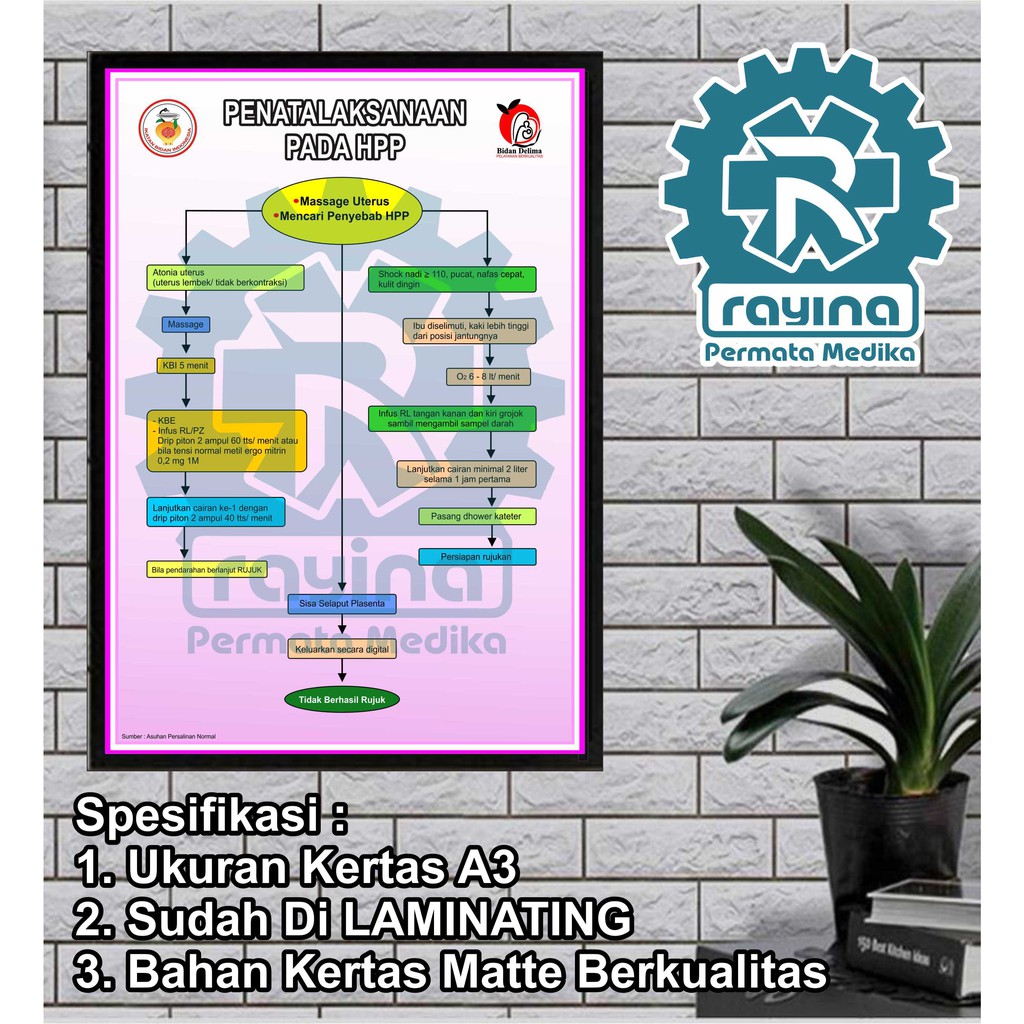 Jual Poster Penatalaksanaan Pada HPP | Shopee Indonesia