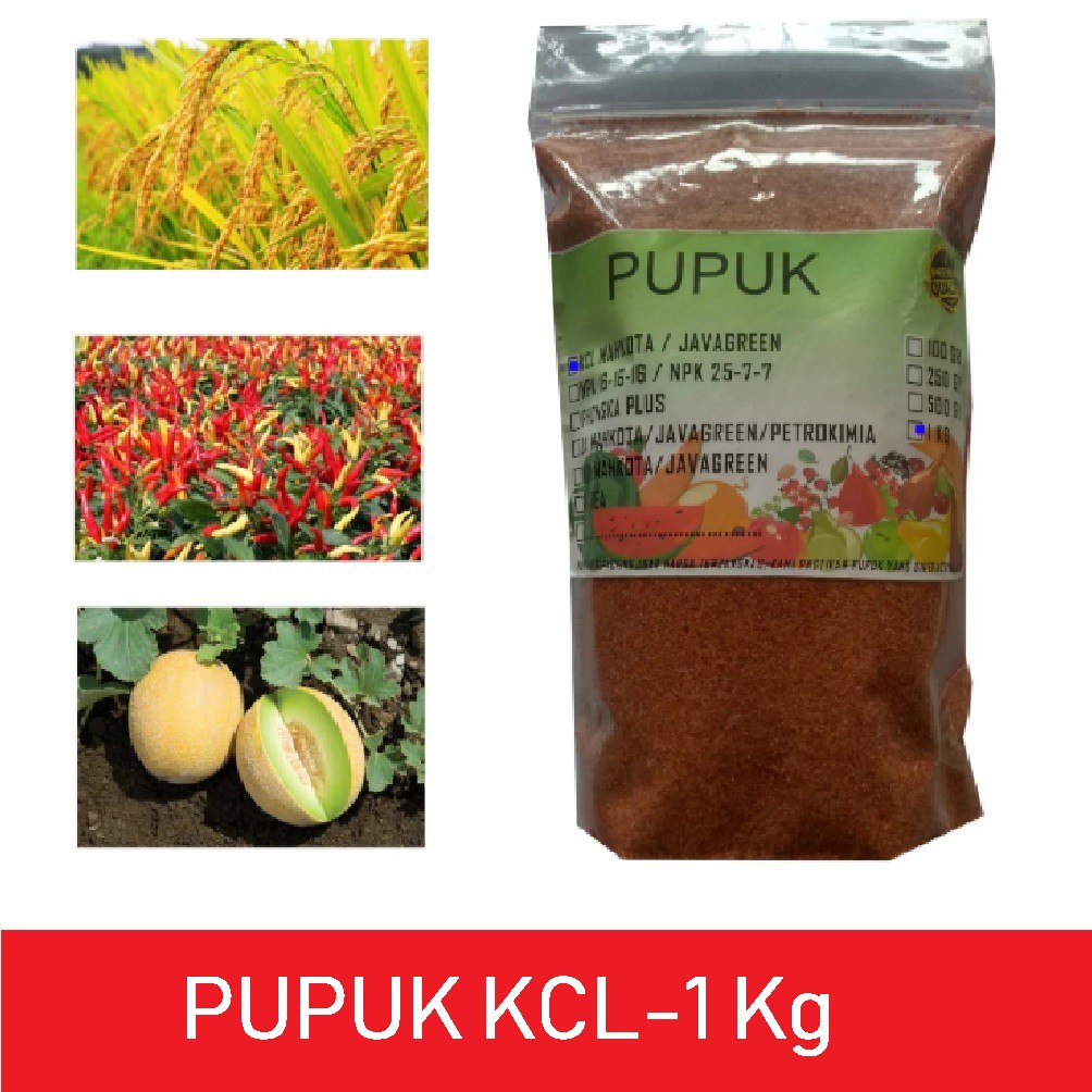 Jual Pupuk KCL 1 Kg Meroke MOP | Shopee Indonesia