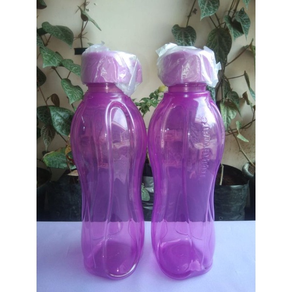 Jual tupperware botol minum botol eco 750ml tutup ulir satuan ori ...