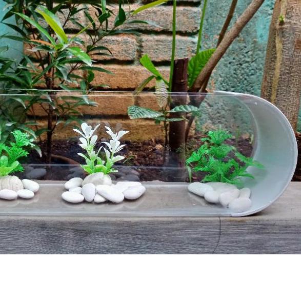 Jual aquarium mini unik akrilik pvc oval cupang,gapi,neon,ikan hias ...