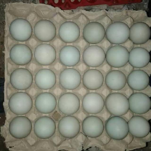 Jual Telur Bebek Mentah Terlengkap & Harga Terbaru Juni 2026 | Shopee ...