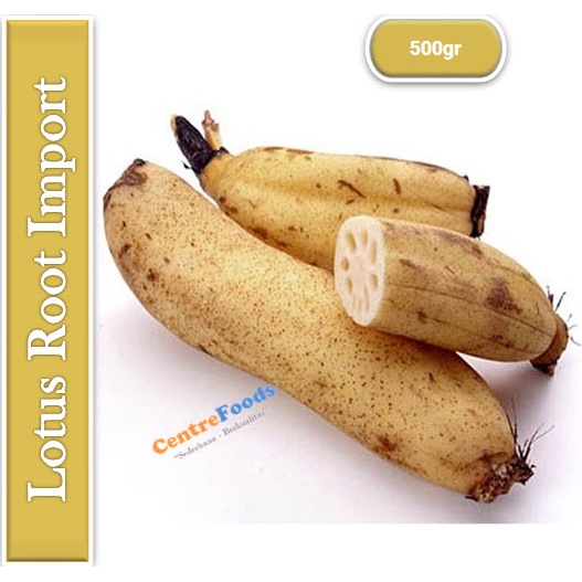 Jual Akar Teratai Segar - Sayur Akar Teratai / Lotus Root Import Fresh ...