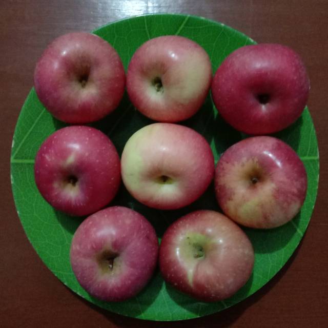 Jual Apel fuji | Shopee Indonesia