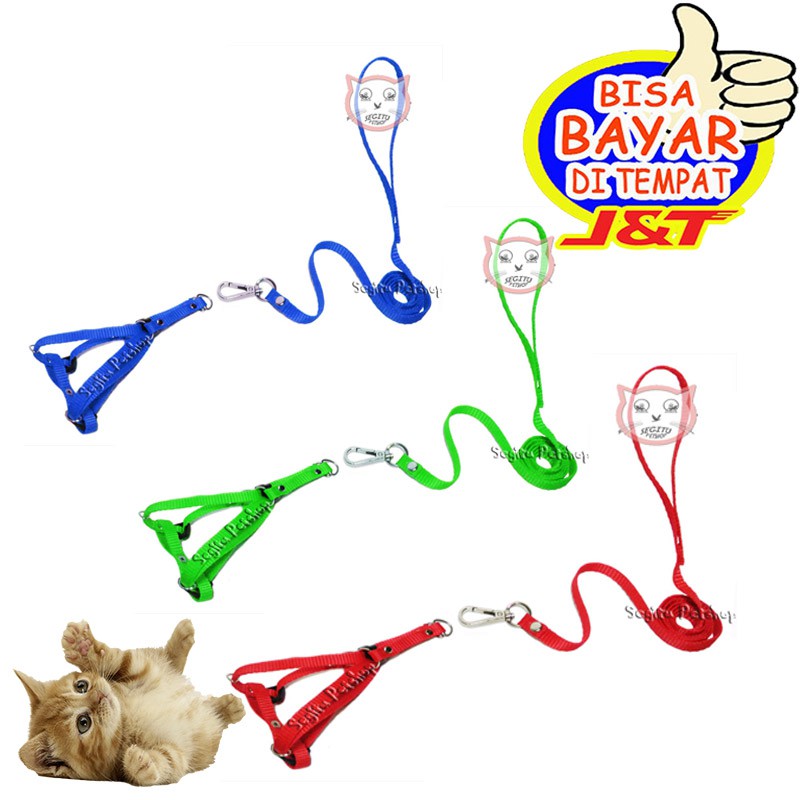 Jual Harness Y Tali Penuntun Kucing Musang Hewan | Shopee Indonesia
