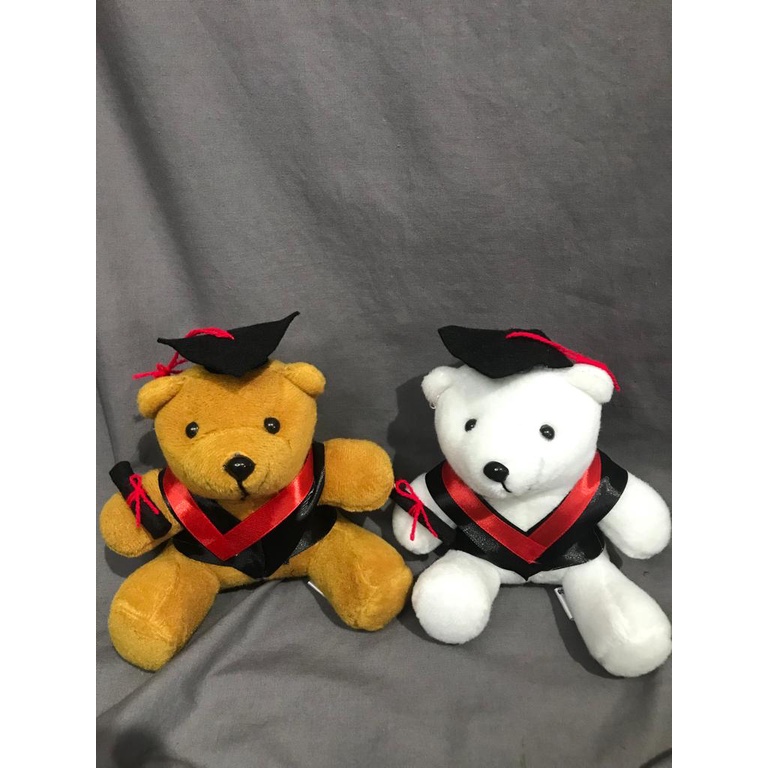 Jual BONEKA GRADUATION | Shopee Indonesia