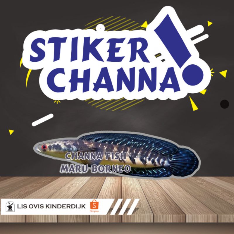 Jual Stiker Ikan | Channa Fish Maru Borneo | Shopee Indonesia