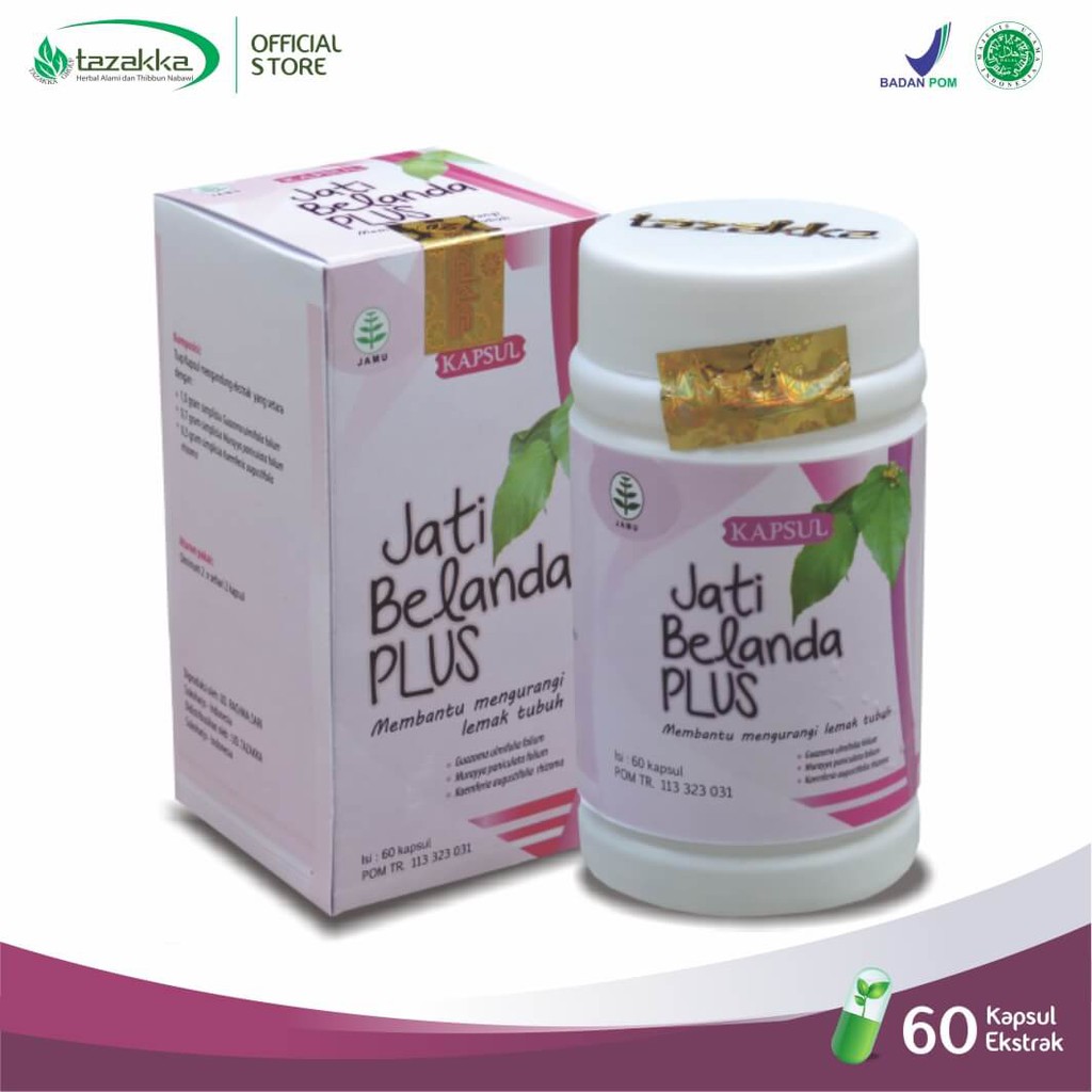 Jual Langsing alami Kapsul Daun Jati Belanda Tazakka Ekstrak Original ...