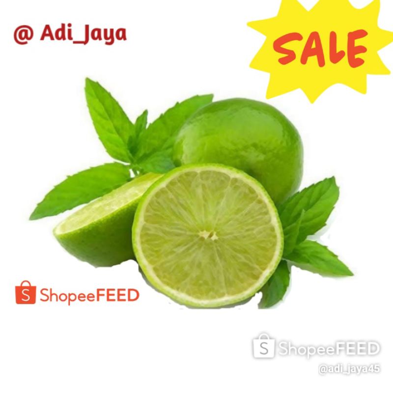 Jual JERUK NIPIS | Shopee Indonesia Jual JERUK NIPIS | Shopee Indonesia