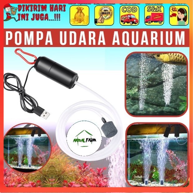 Jual Aerator Aquarium Mini Batu Gelembung Aerator Usb Pompa Udara ...