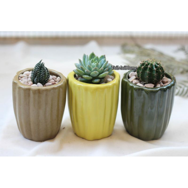 Jual Pot keramik cantik lucu / pota tanaman bunga hias / kado souvenir ...