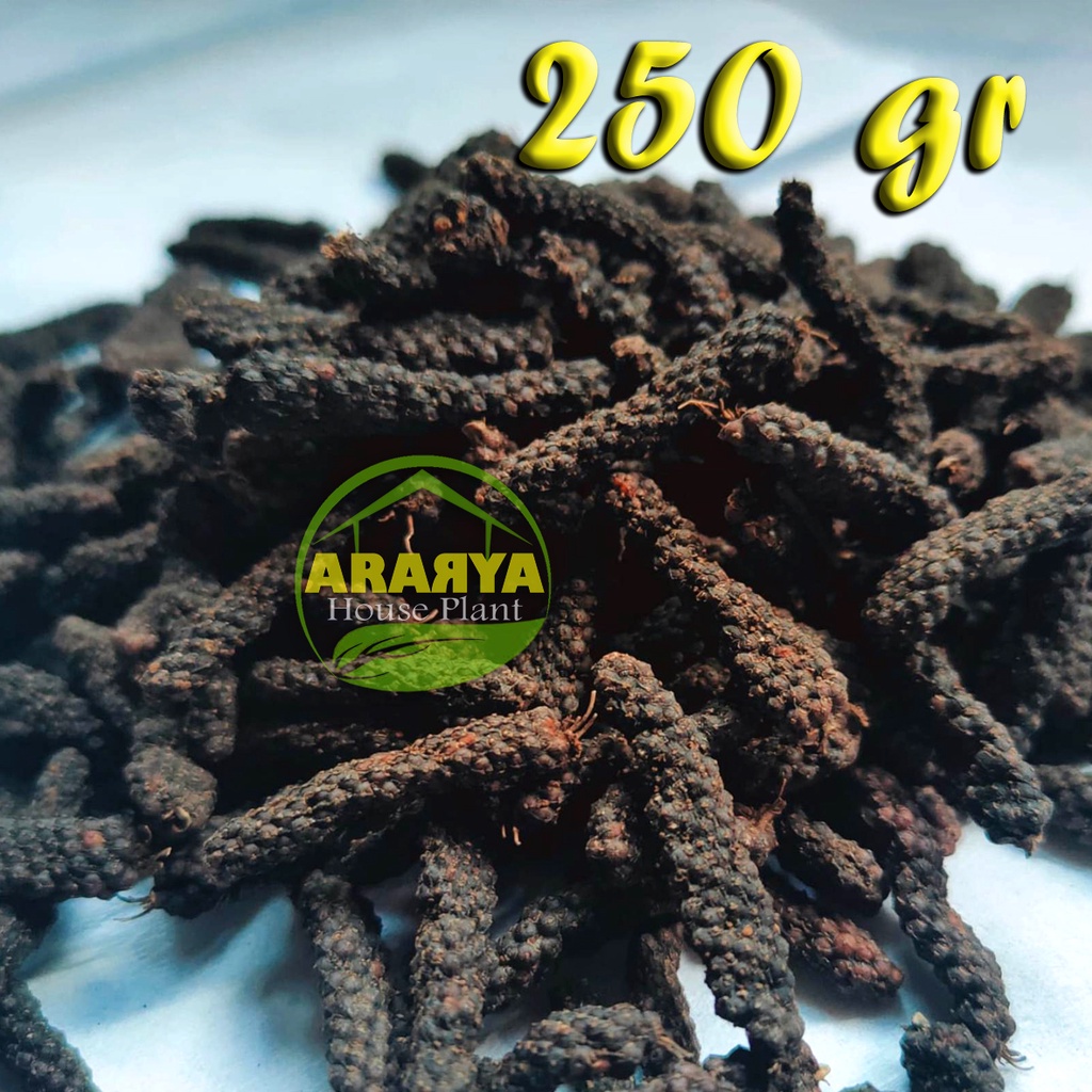 Jual Cabe Jamu Kering / Cabe Jawa / Cabe Puyang 250 gram | Shopee Indonesia