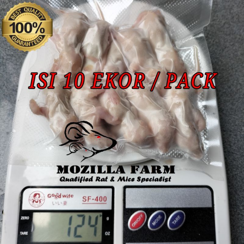 Jual Tikus Putih Beku / Frozen Rat Size Pinkies Bulu ( Isi 10 Ekor ...