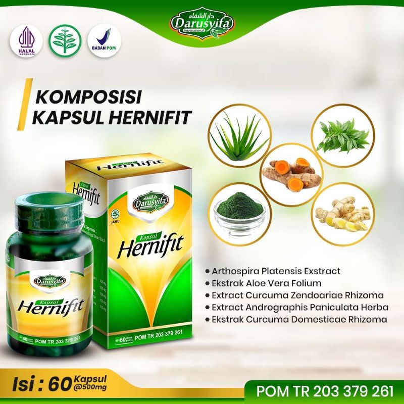 Jual Kapsul HERNIA Hernifit Obat Turun Berok Obat Hernia isi 60 kapsul ...