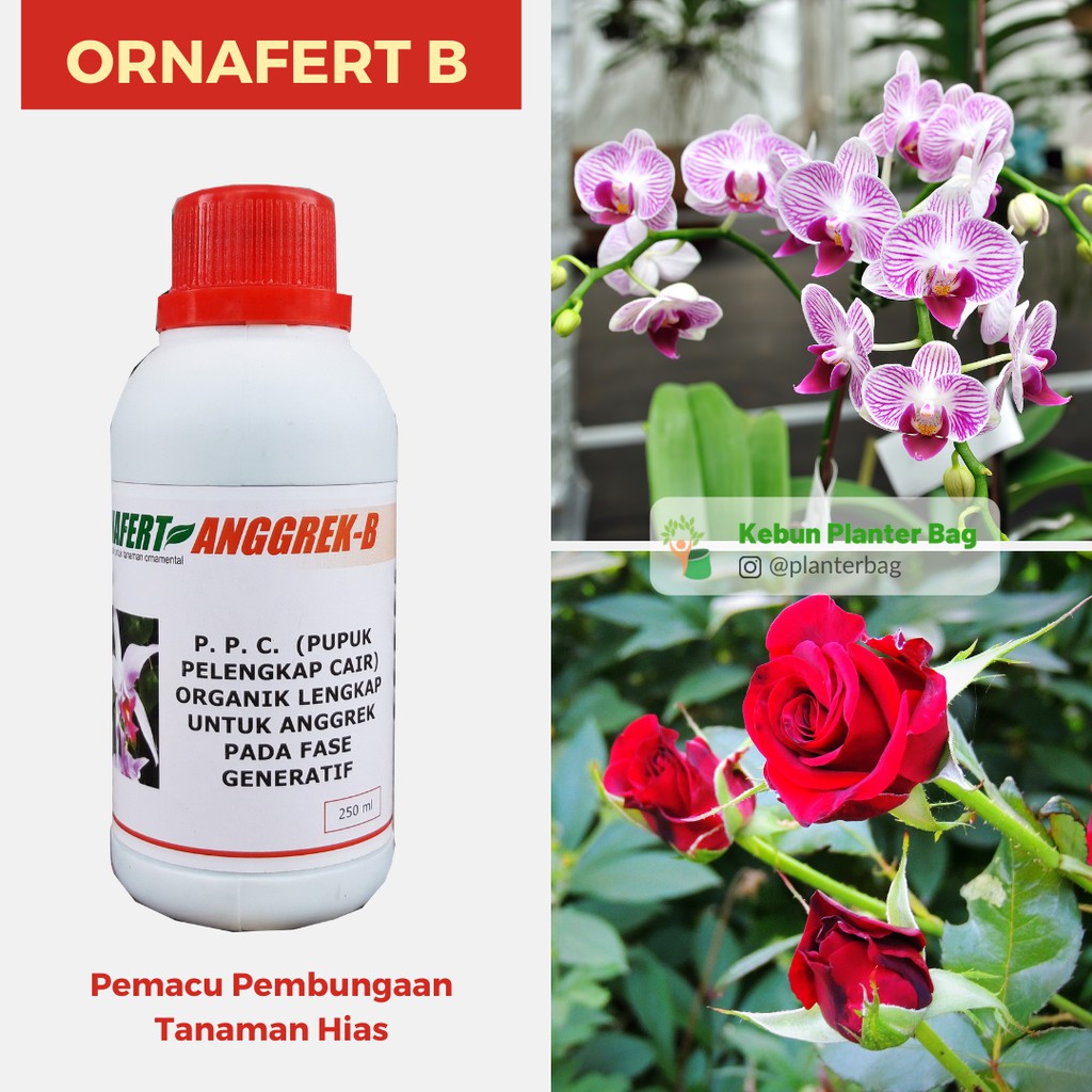 Jual Cukup Semprot Pupuk Tanaman Hias Cair Ornafert B Pupuk Bunga Mawar ...