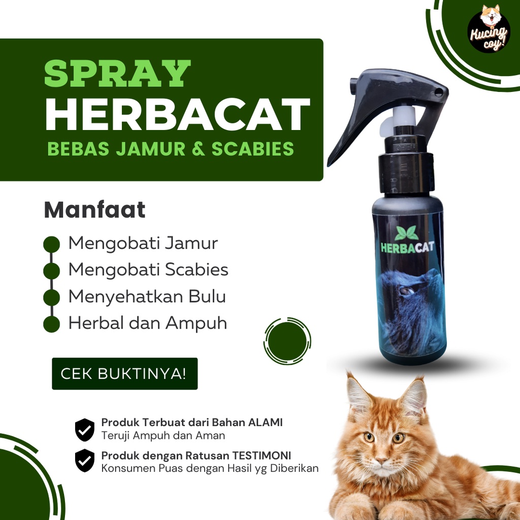 Jual Obat kucing jamuran Herbacay Spray obat jamur kucing Herbal aman ...
