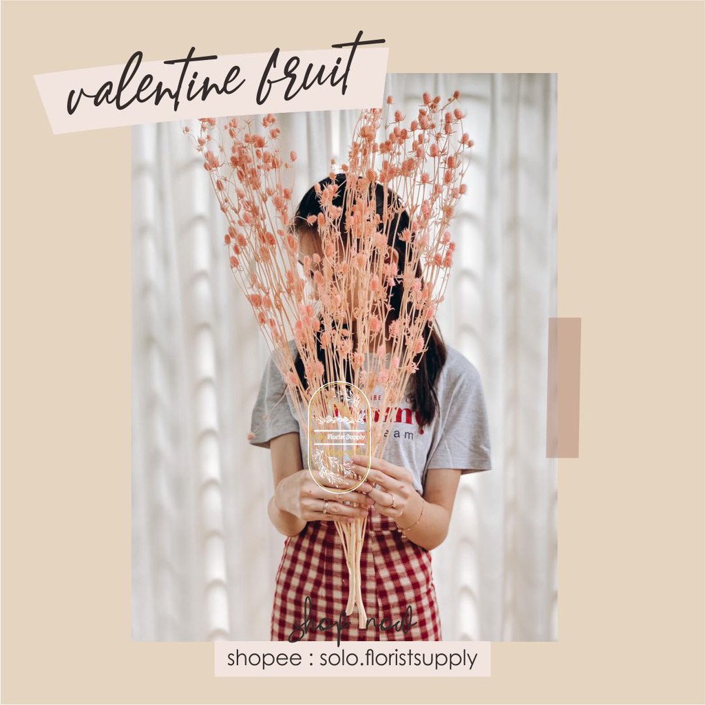 Jual 1ikat sea holly VALENTINE FRUIT FLOWER NATURAL DRIED Bunga kering ...