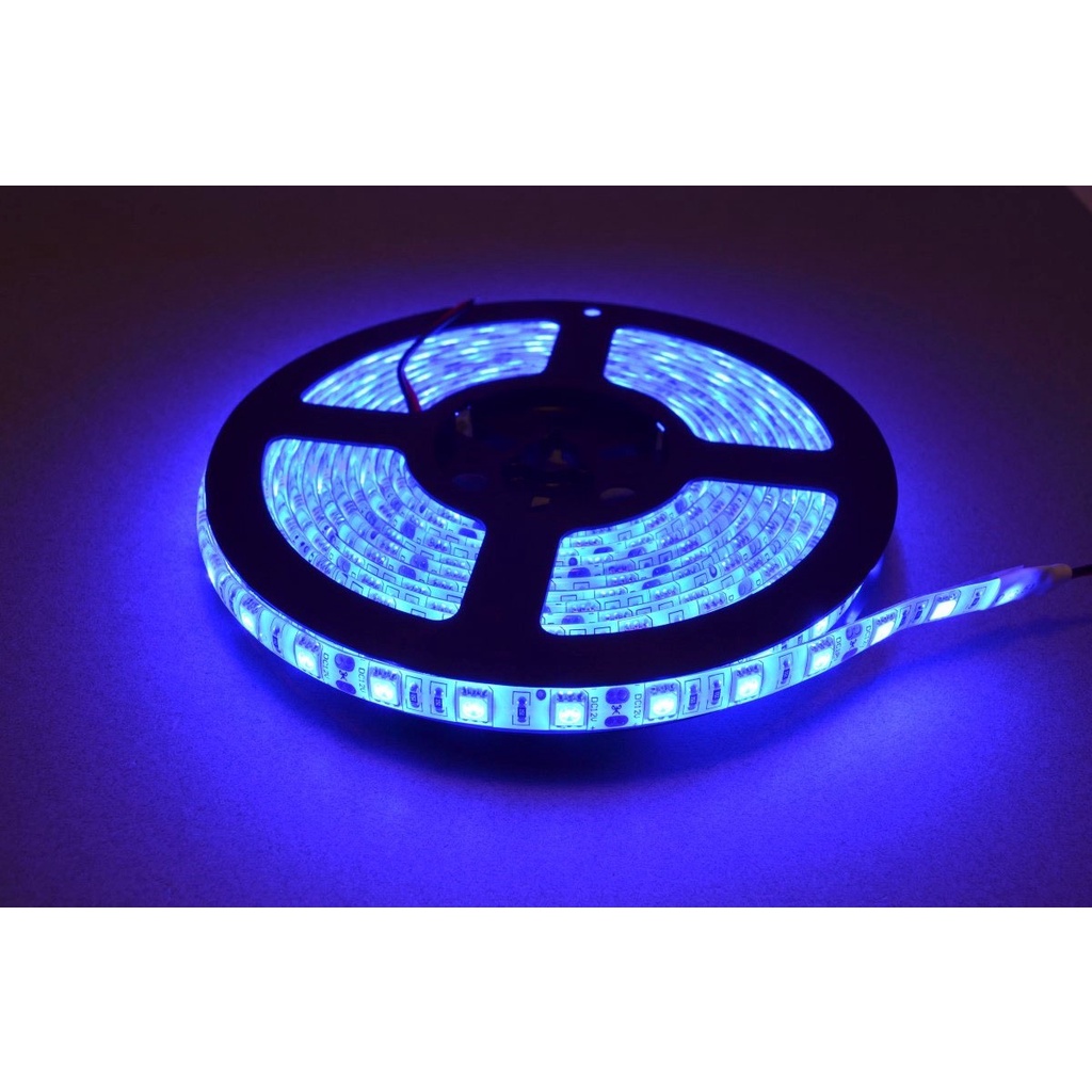 Jual Lampu LED Strip 5050 12v IP44 OUTDOOR Blue Biru DC | Shopee Indonesia