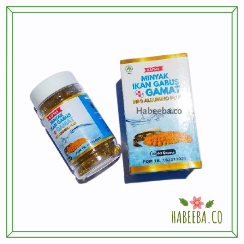 Jual Kapsul MINYAK IKAN GABUS Plus GAMAT Neo Albumino Plus isi 60 kapsul | Shopee Indonesia