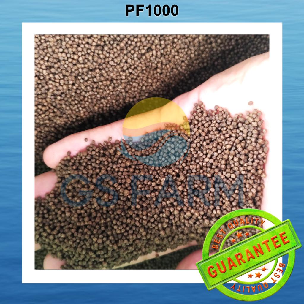Jual Pelet ikan PF1000 1kg Prima Feed pakan PF 1000 1 kg benih lele GS FARM | Shopee Indonesia
