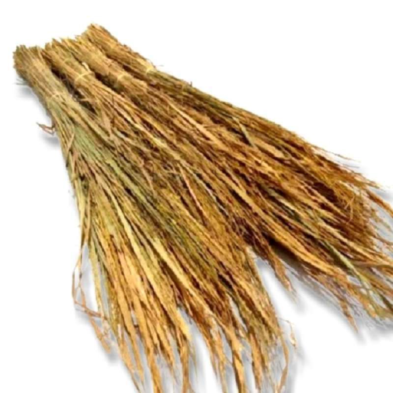 Jual Jerami padi kering bersih netto 1kg | Shopee Indonesia