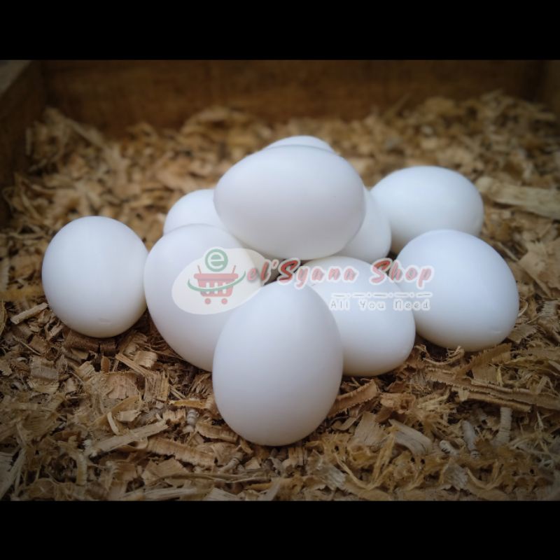 Jual Telur Merpati Palsu Dummy Replika Telor Anti Pecah | Shopee Indonesia