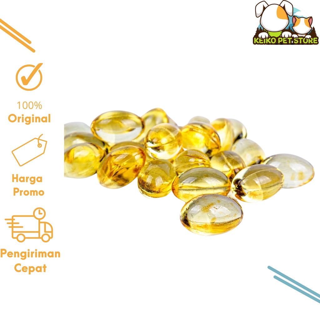 Jual MINYAK IKAN Original 20 BUTIR Suplemen Semua Jenis Hewan (Kucing ...