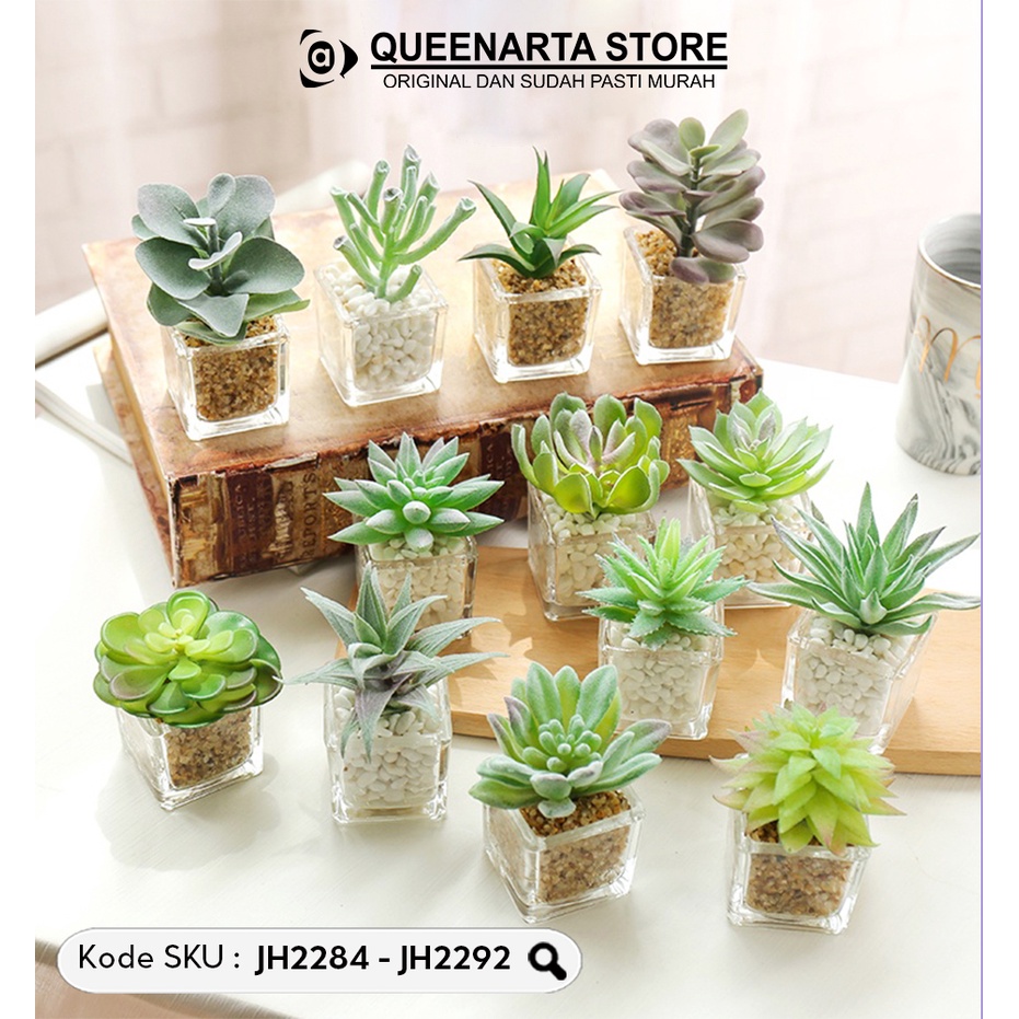 Jual Queenarta Sukulen Mini Jenis Tanaman Kaktus dan Bunga Hias Plastik ...
