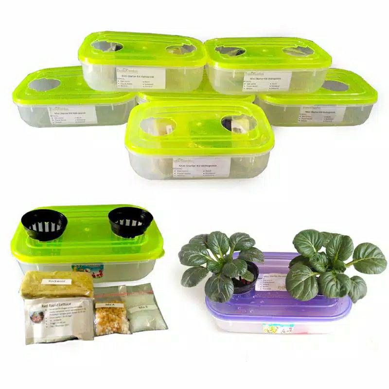 Jual Mini Kit Hidroponik Paket untuk anak | Shopee Indonesia