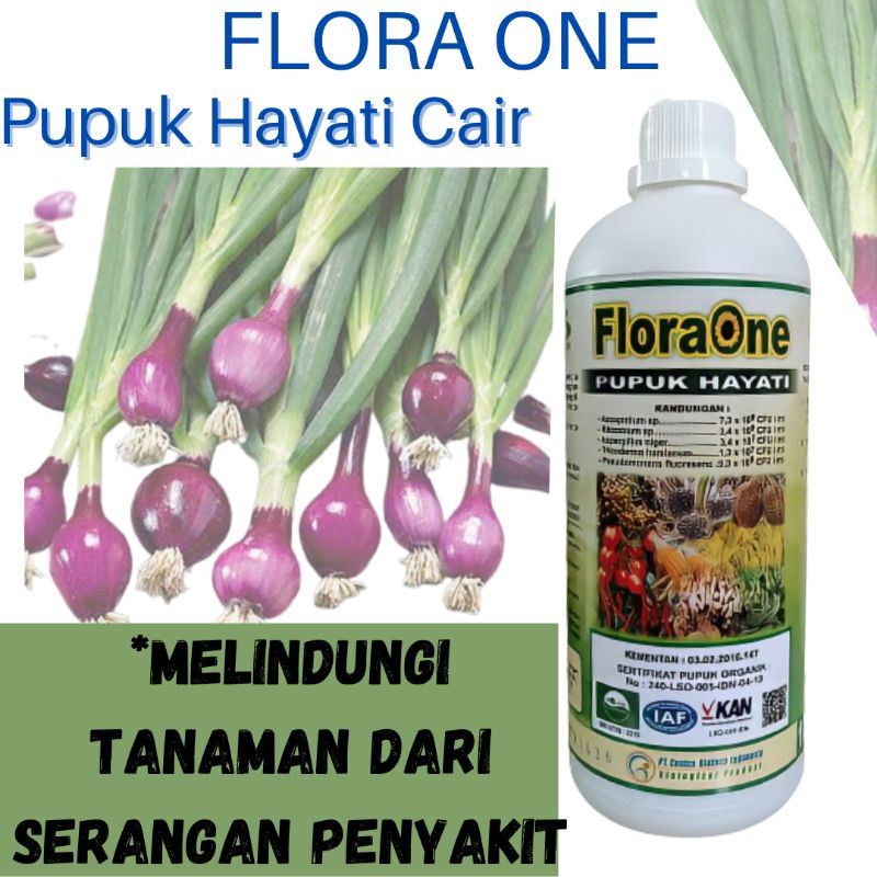 Jual Pupuk Nutrisi Lengkap Bawang Merah, Tricoderma Pupuk Hayati Untuk ... Jual Pupuk Nutrisi Lengkap Bawang Merah, Tricoderma Pupuk Hayati Untuk ...
