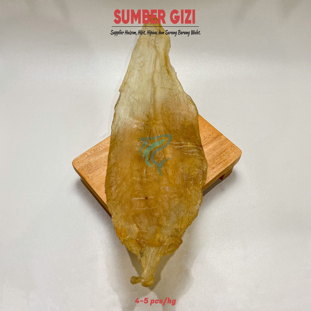 Jual YI PHIAU HIPIAU HIPIO PERUT IKAN RAMPAI BESAR/ GELEMBUNG IKAN KURO ...